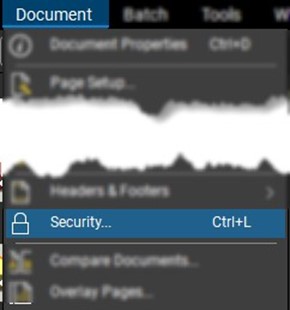 Document Security in Bluebeam Revu